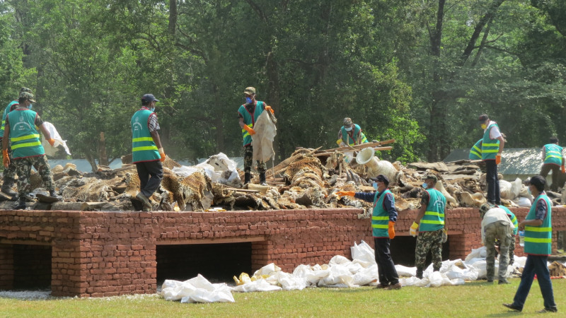 Wildlife crime | The National Trust for Nature Conservation (NTNC)