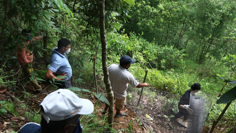 First King Cobra Nest Sighting in Parbat | The National Trust for ...